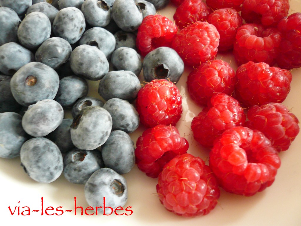Les fruits rouges ou noirs: mûres, myrtilles, cassis… | Via-les-herbes