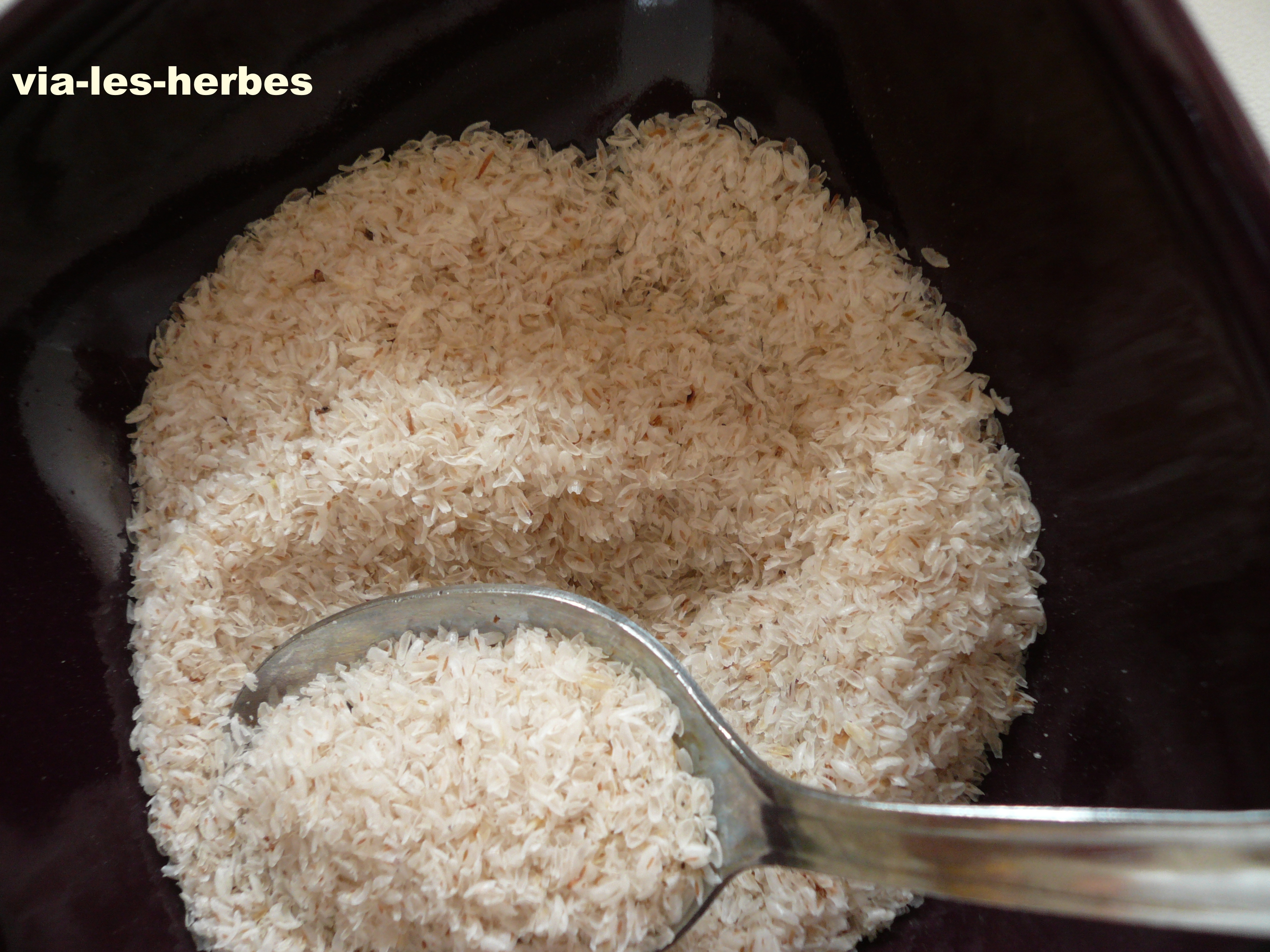 L’Ispaghul traite la constipation en douceur | Via-les-herbes