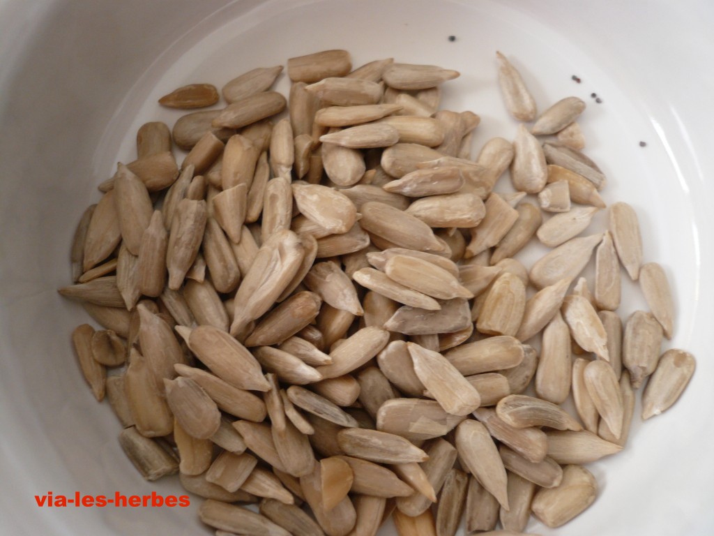 Les graines dans l’alimentation | Via-les-herbes